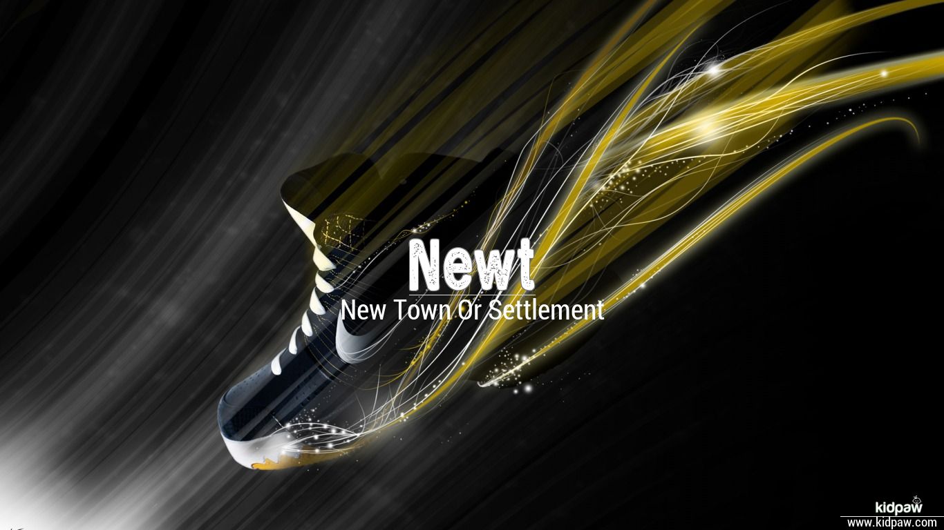 Newt 3D Name Wallpaper for Mobile, Write Name on Photo Online