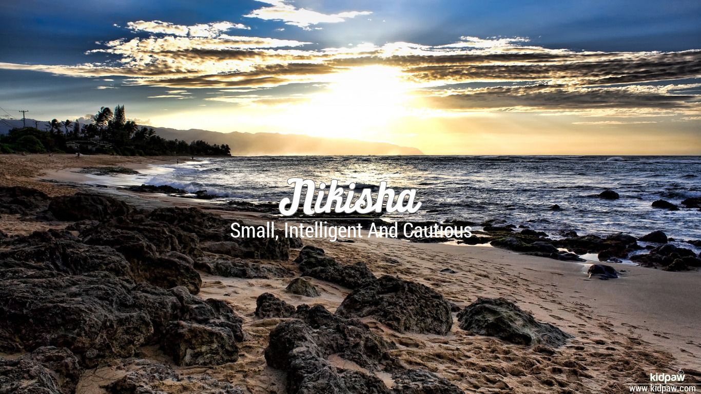 नीकीशा | Nikisha Name Meaning in Hindi & English, Rashi, Nakshatra ...