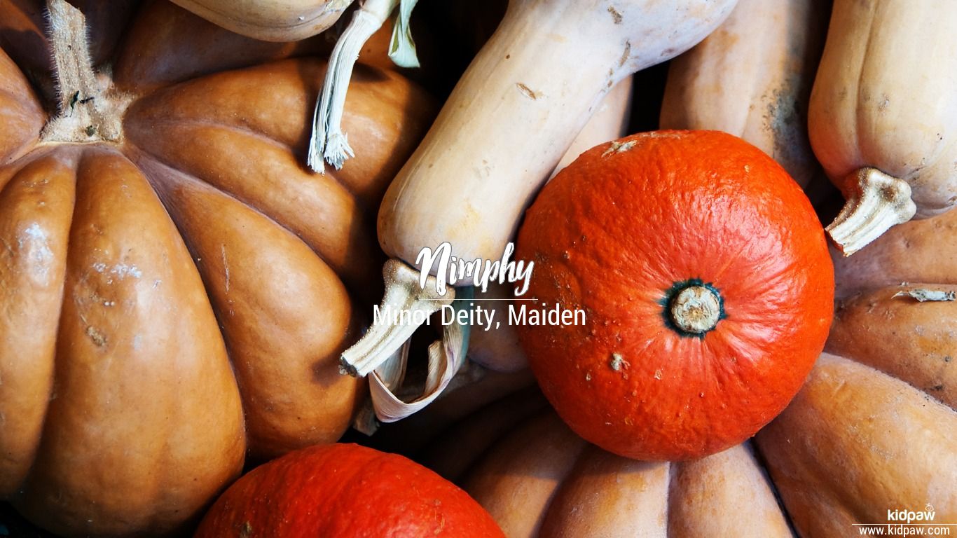 Nimphy 3D Name Wallpaper for Mobile, Write नीम्फी Name on Photo Online