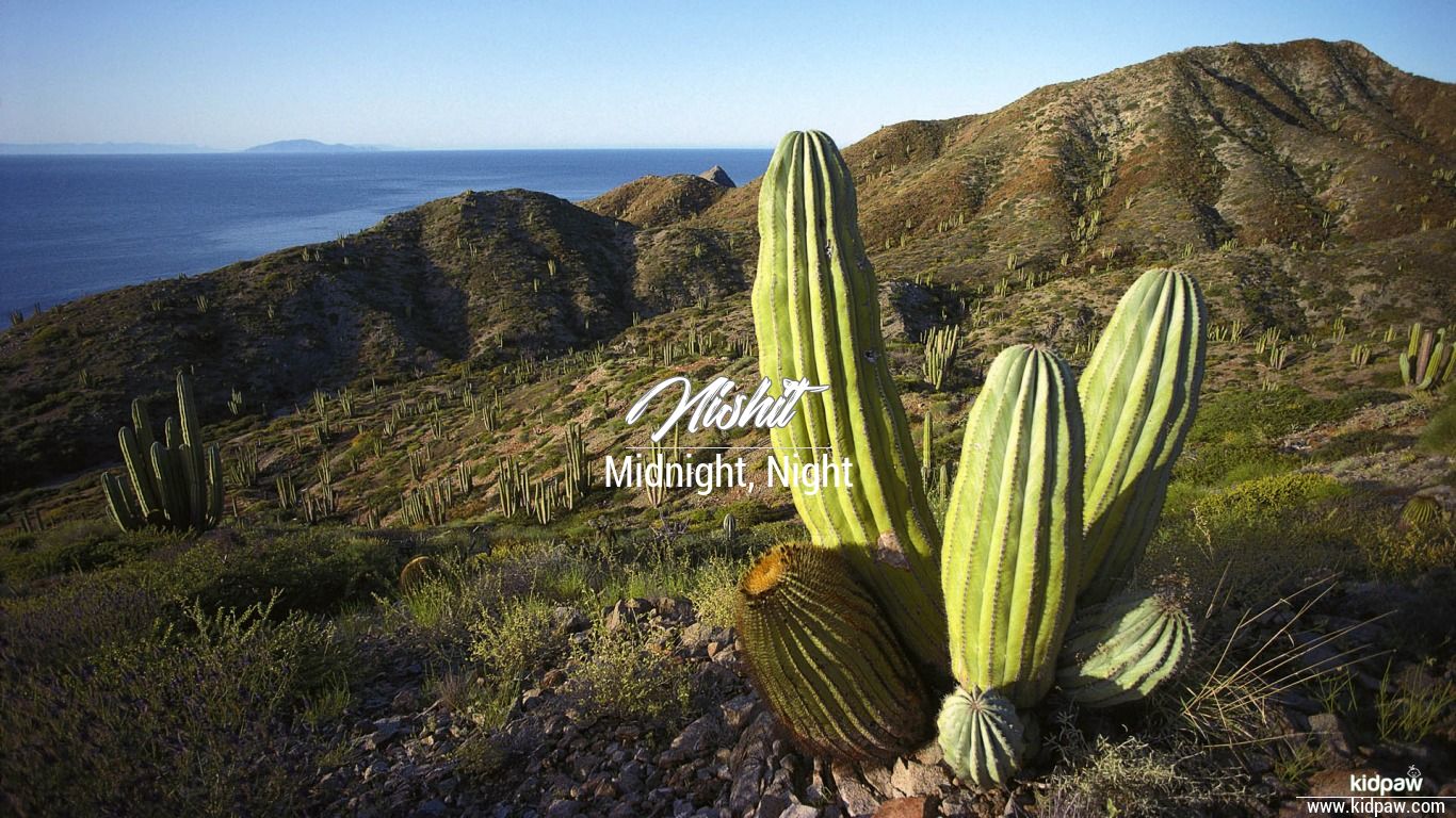 निशित | Nishit Name Meaning in Hindi & English, Rashi, Nakshatra ...