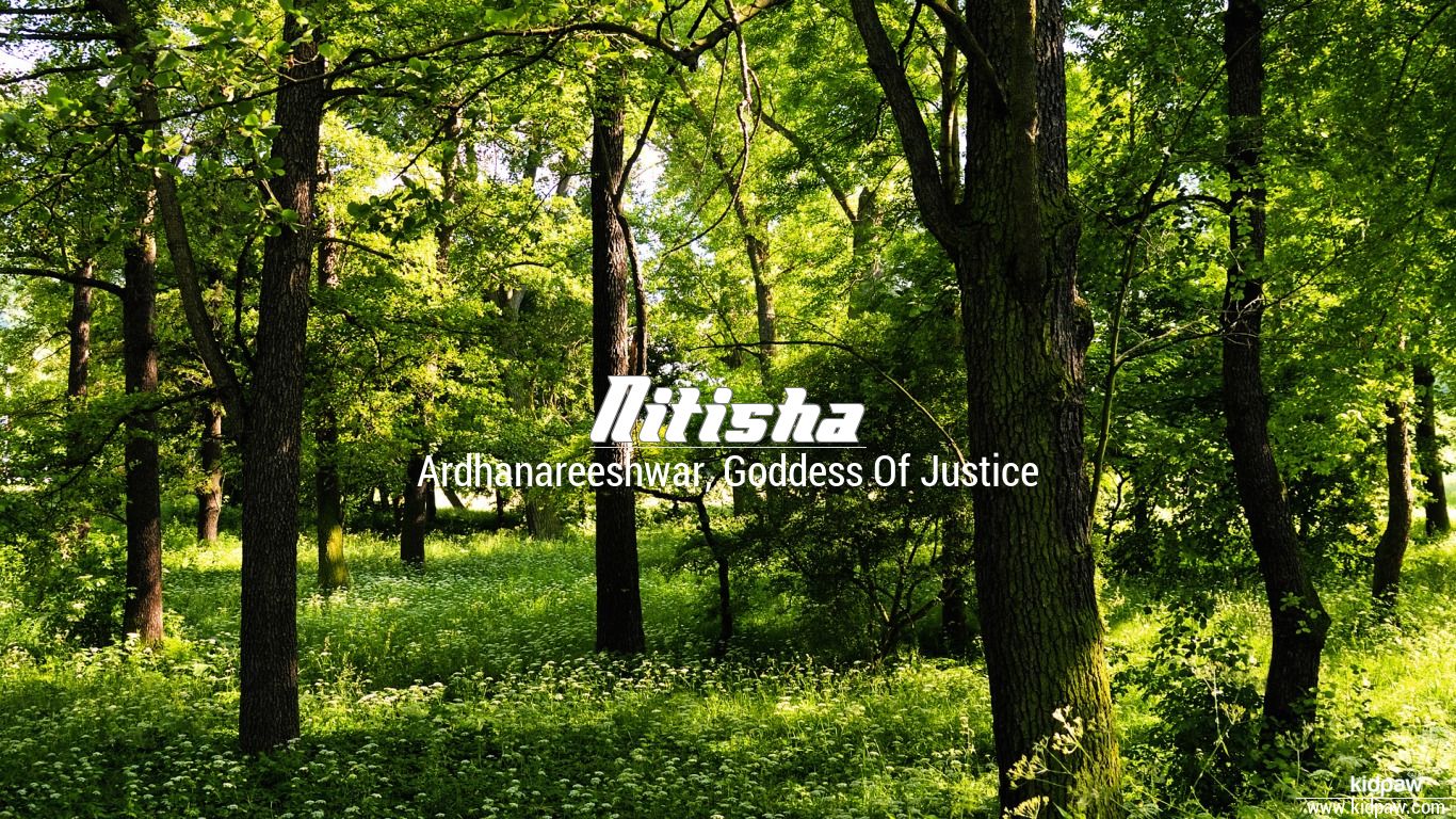 Nitisha 3D Name Wallpaper for Mobile, Write नीतीश Name on Photo Online