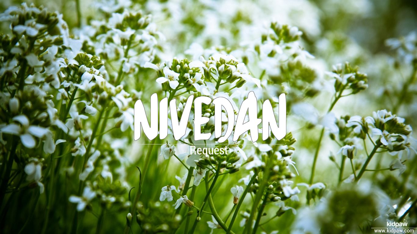 Nivedan 3D Name Wallpaper for Mobile, Write निवेदन Name on Photo Online