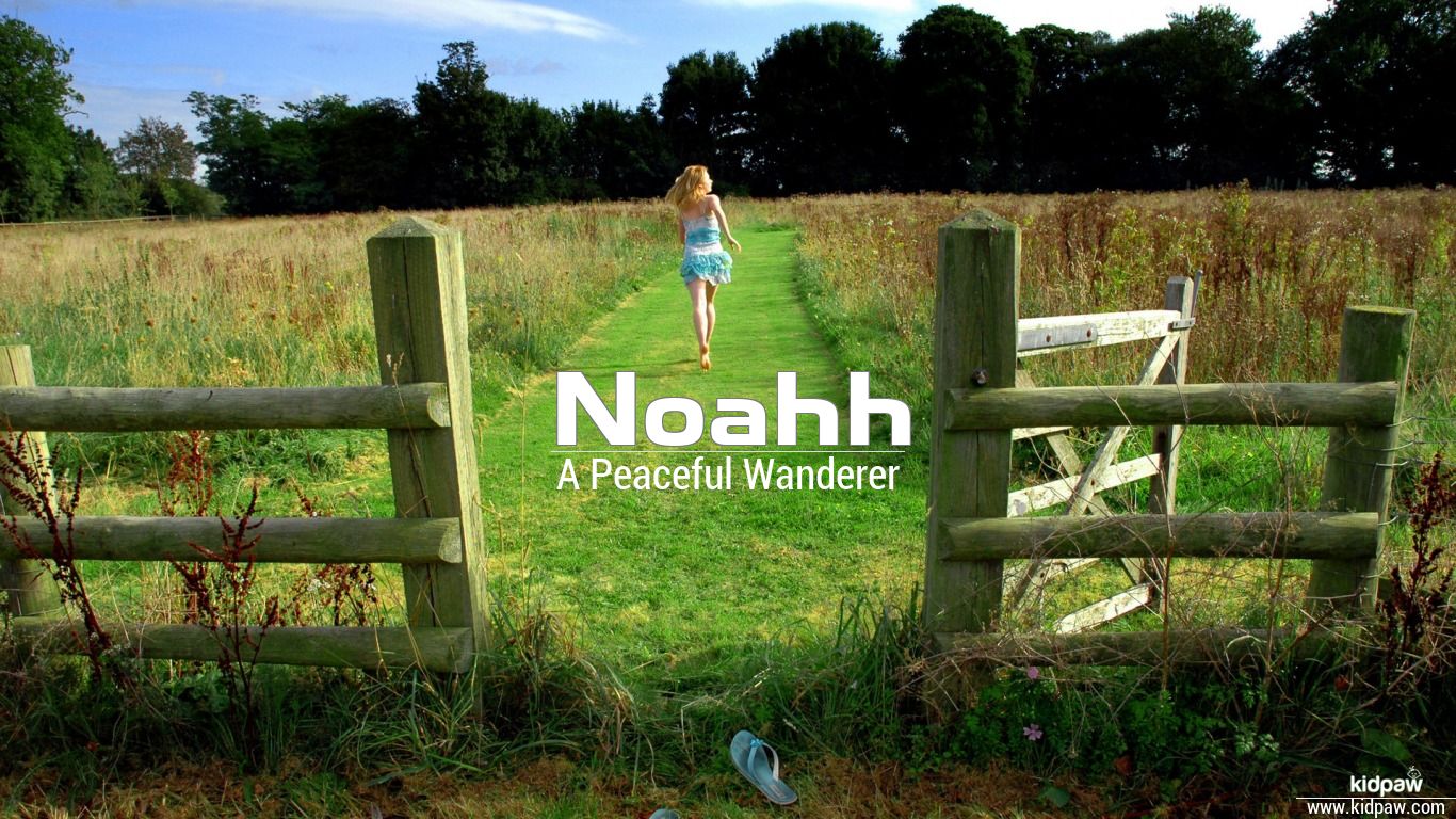 Noahh 3D Name Wallpaper for Mobile, Write Name on Photo Online