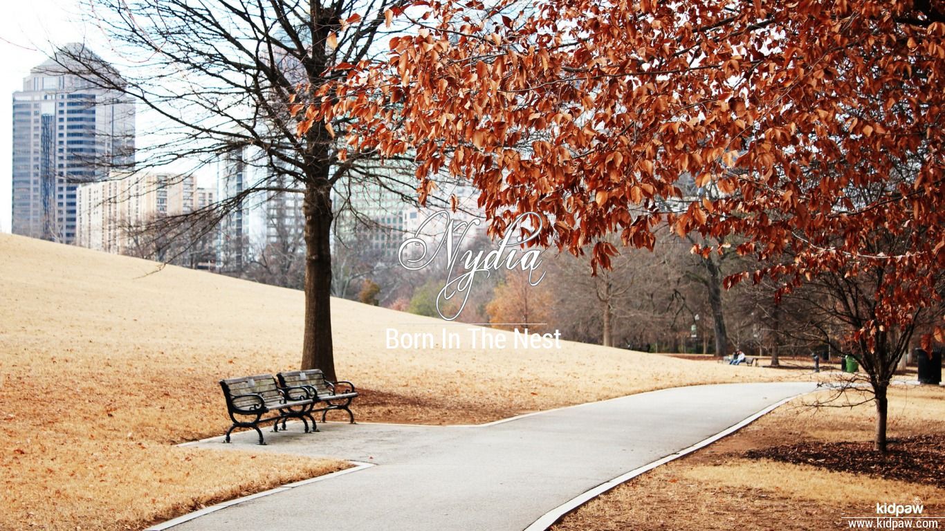 Nydia 3D Name Wallpaper for Mobile, Write Name on Photo Online