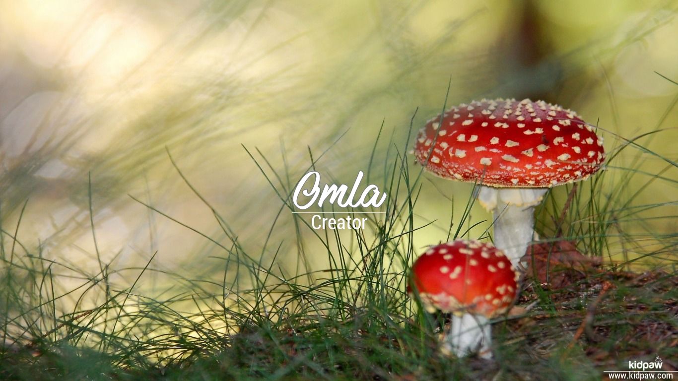 Omla 3D Name Wallpaper for Mobile, Write ोमला Name on Photo Online