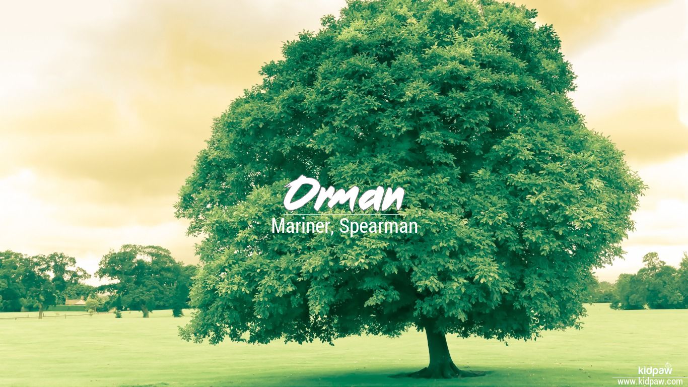 Orman 3D Name Wallpaper for Mobile, Write ोर्मन Name on Photo Online