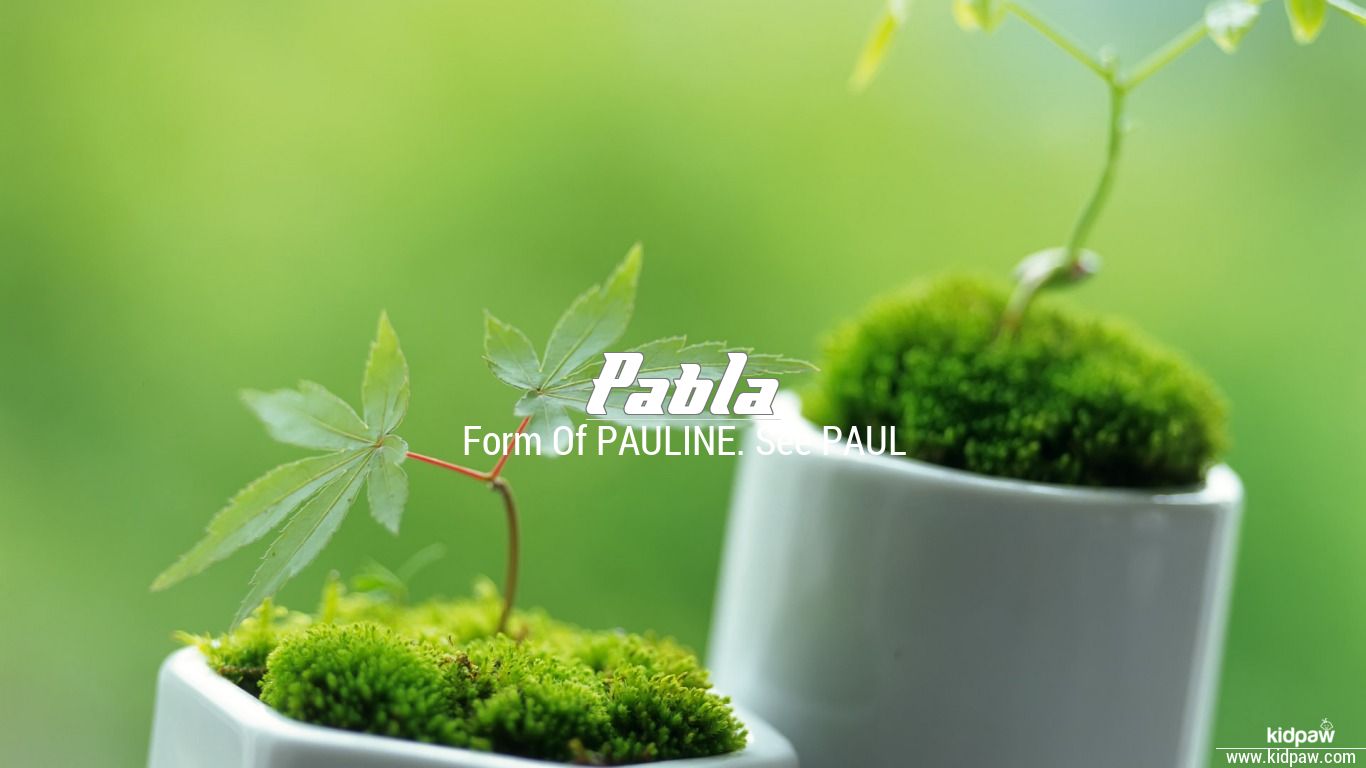 Pabla Meanings in English, Popularity, Origin