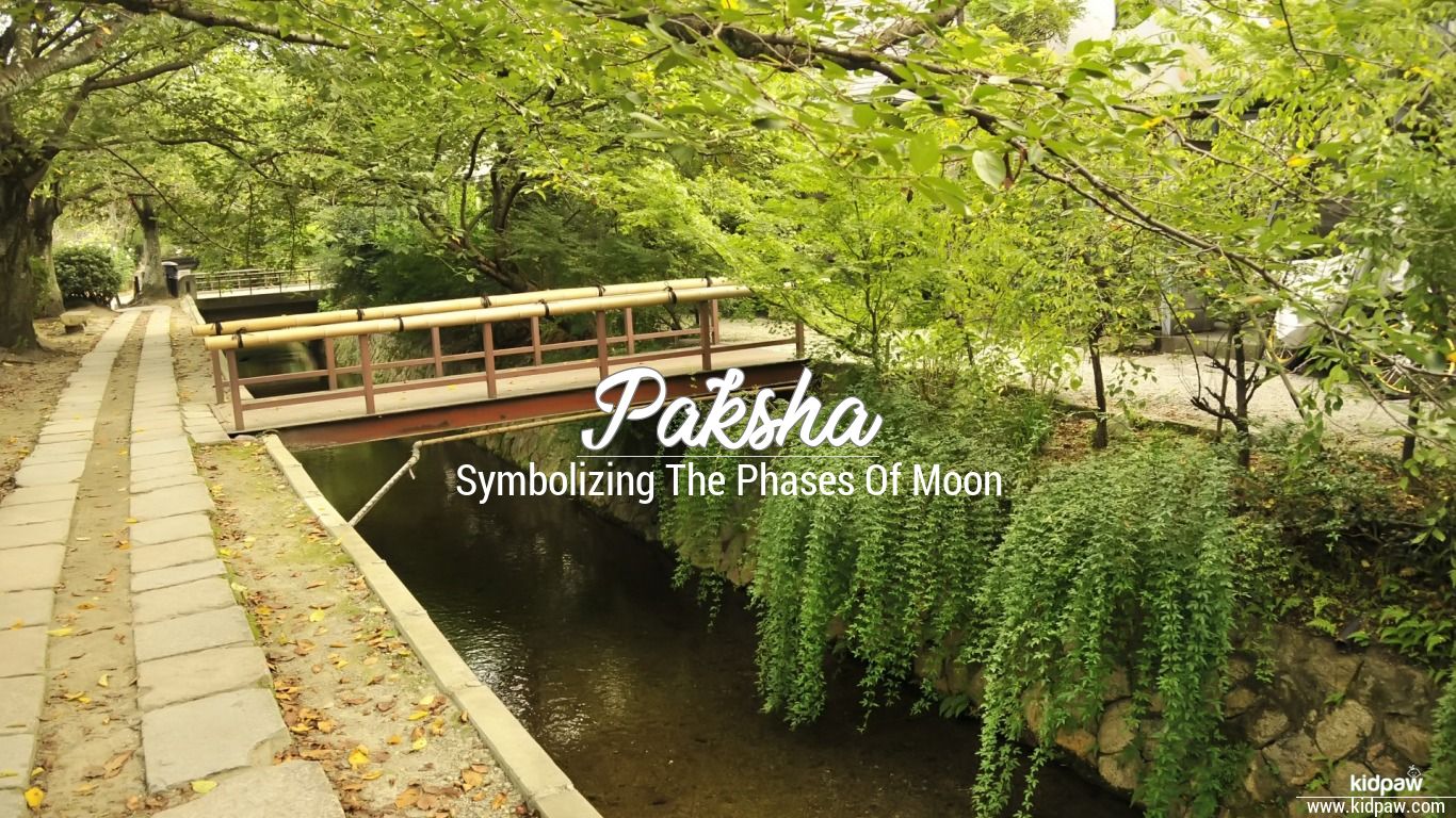 Paksha 3D Name Wallpaper for Mobile, Write पक्ष Name on Photo Online