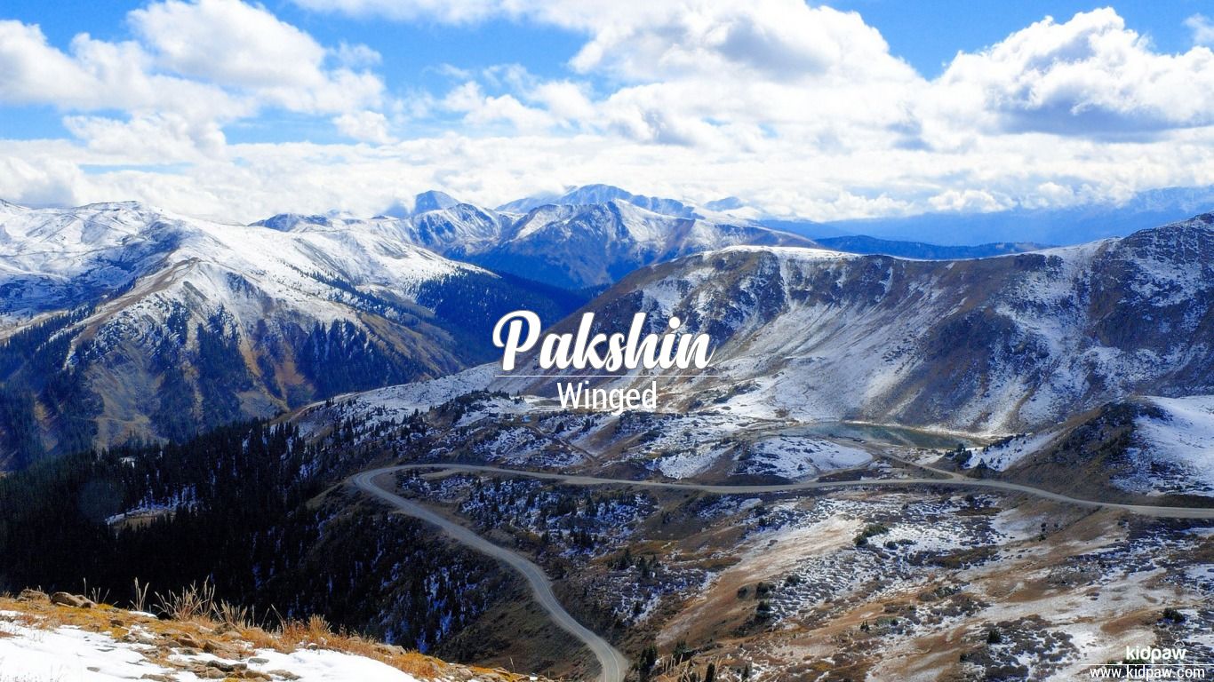 पक्षीन | Pakshin Name Meaning in Hindi & English, Rashi, Nakshatra ...