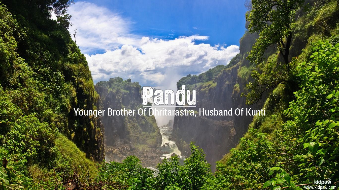 पांडू | Pandu Name Meaning in Hindi & English, Rashi, Nakshatra, Origin ...