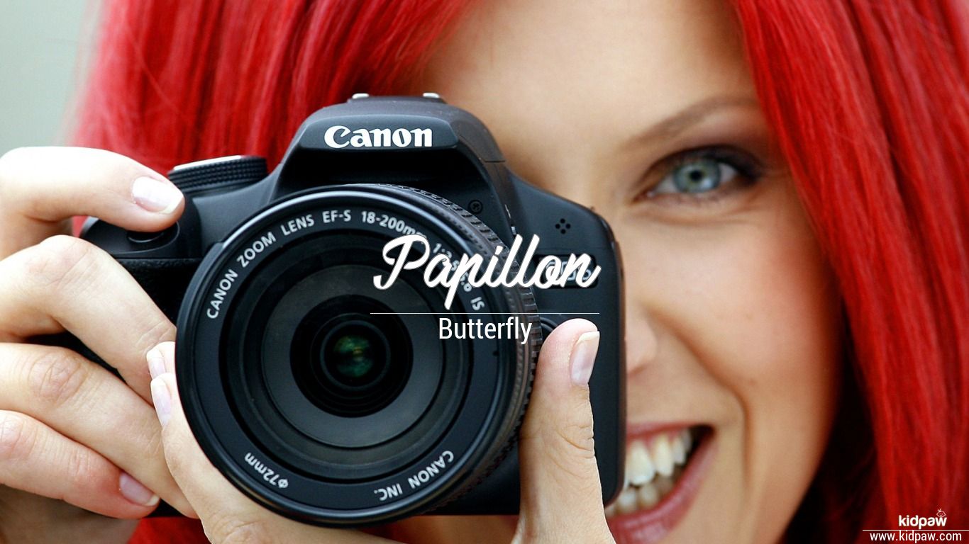 Papillon 3D Name Wallpaper for Mobile, Write Name on Photo Online