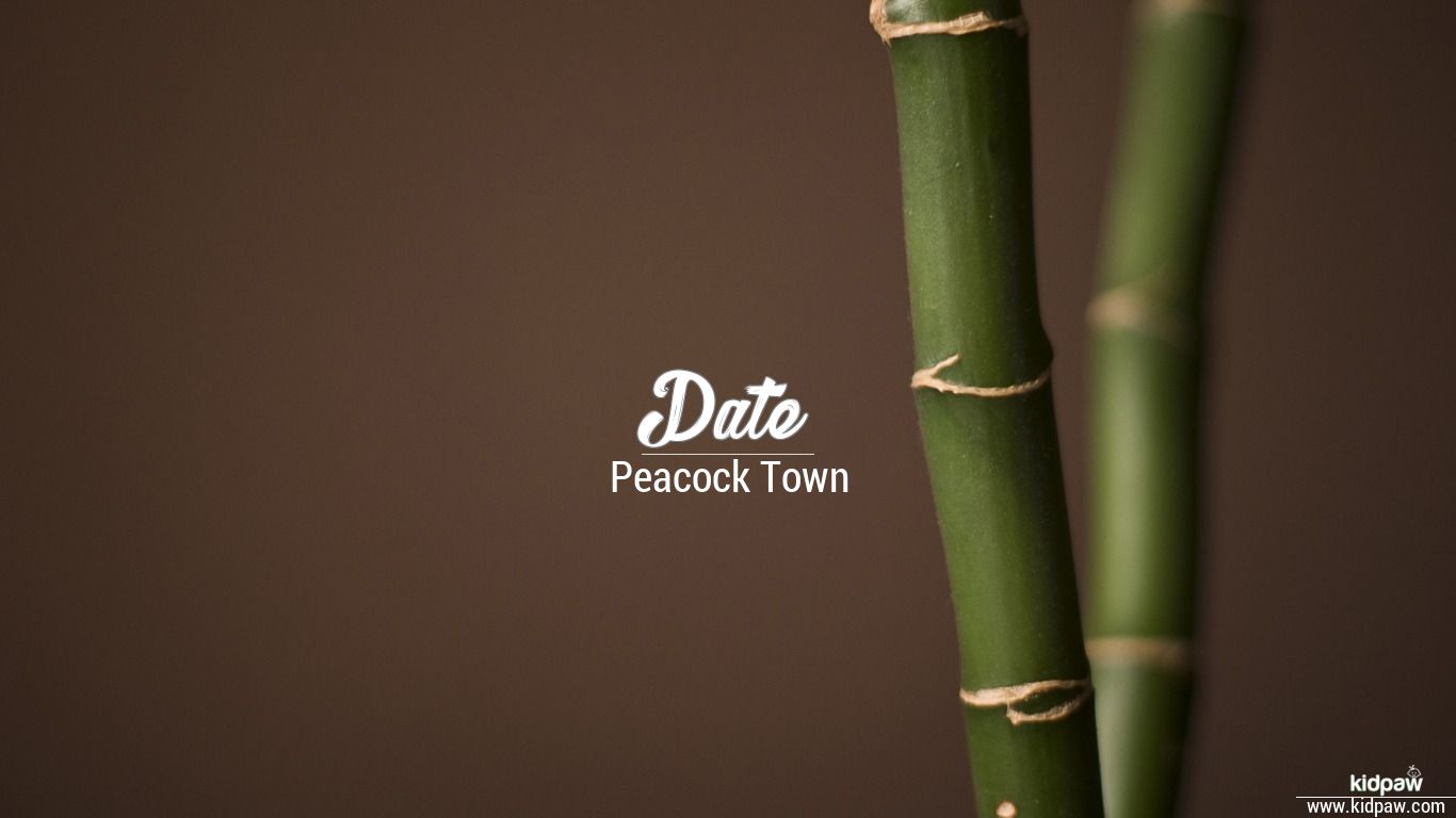 Pate 3D Name Wallpaper for Mobile, Write Name on Photo Online