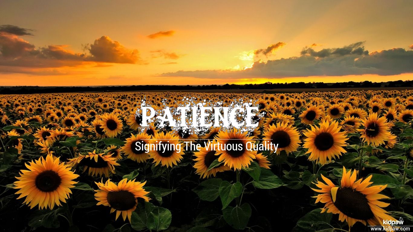 Patience Meanings in English, Popularity, Origin