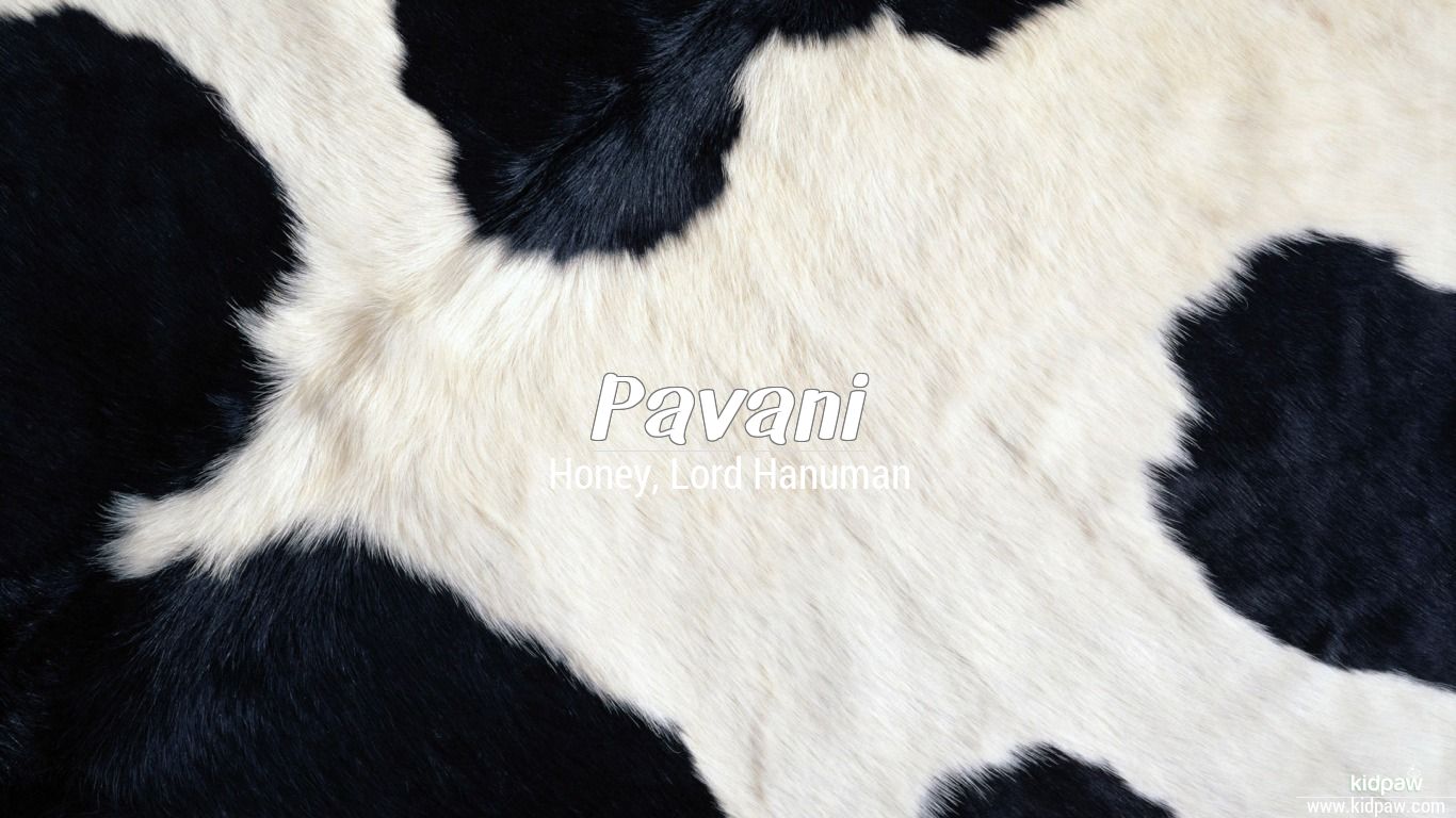 Pavani 3D Name Wallpaper for Mobile, Write पावनी Name on Photo Online