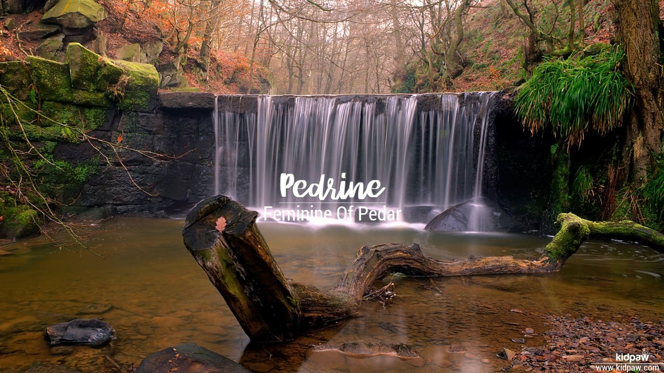 Pedrine 3D Name Wallpaper for Mobile, Write Name on Photo Online