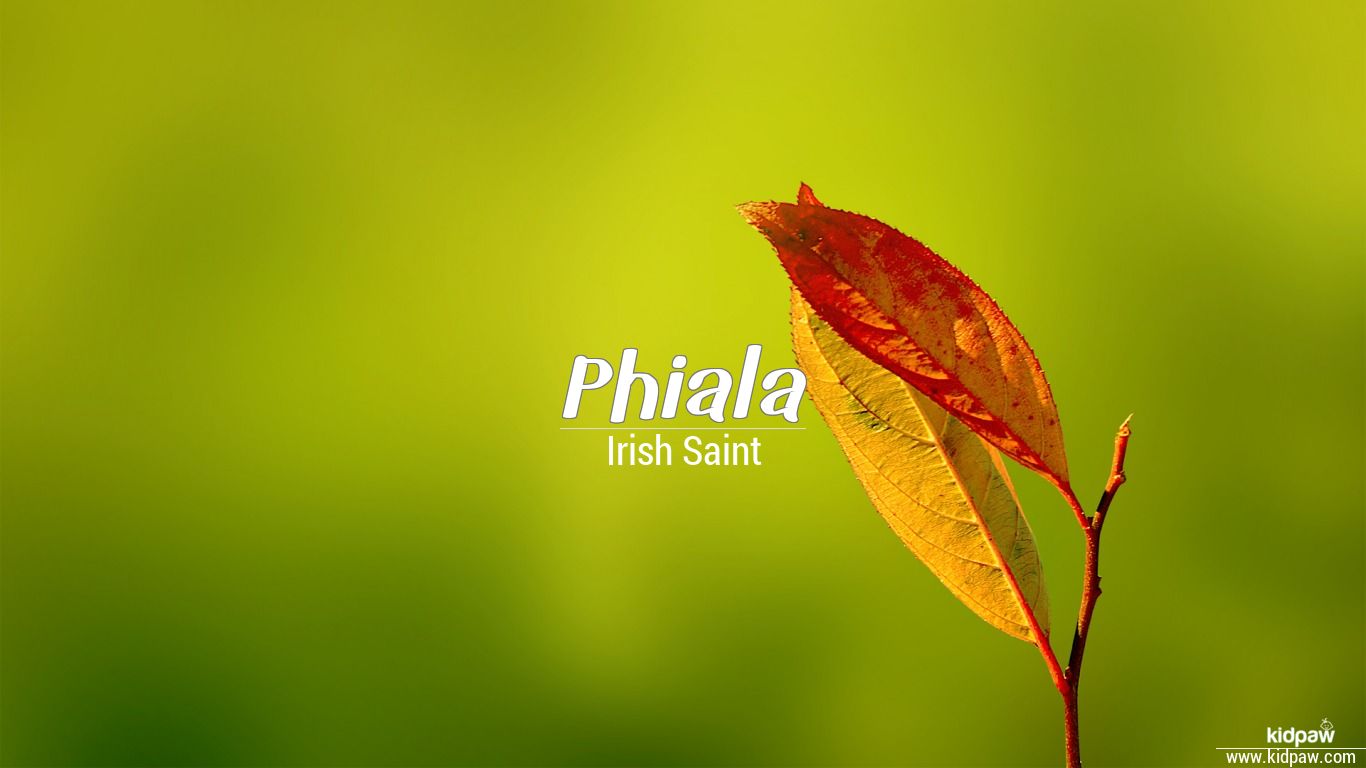 Phiala 3D Name Wallpaper for Mobile, Write Name on Photo Online