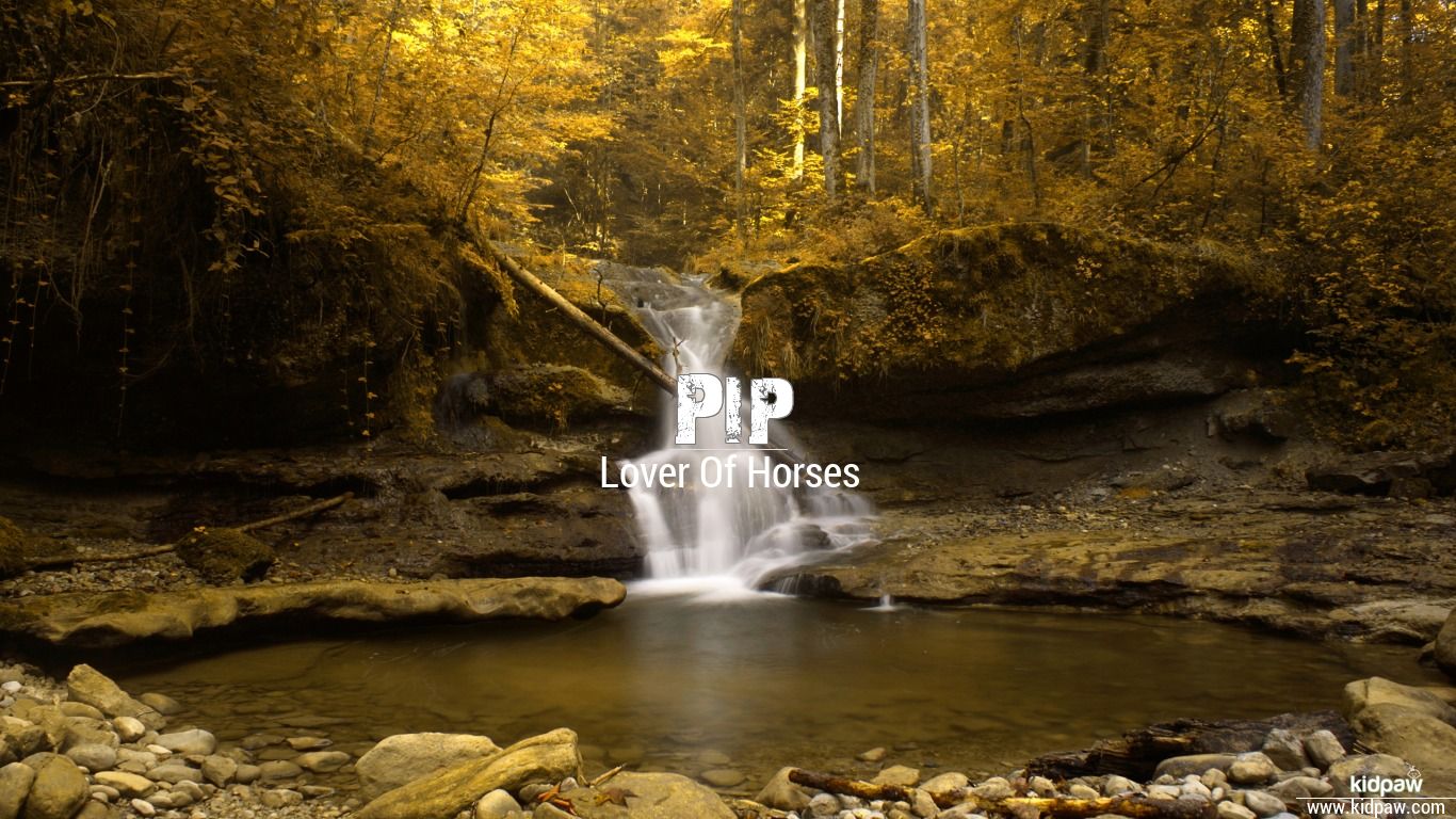 Pip Name Meaning in Urdu نام کی تفصیل، لکی نمبر