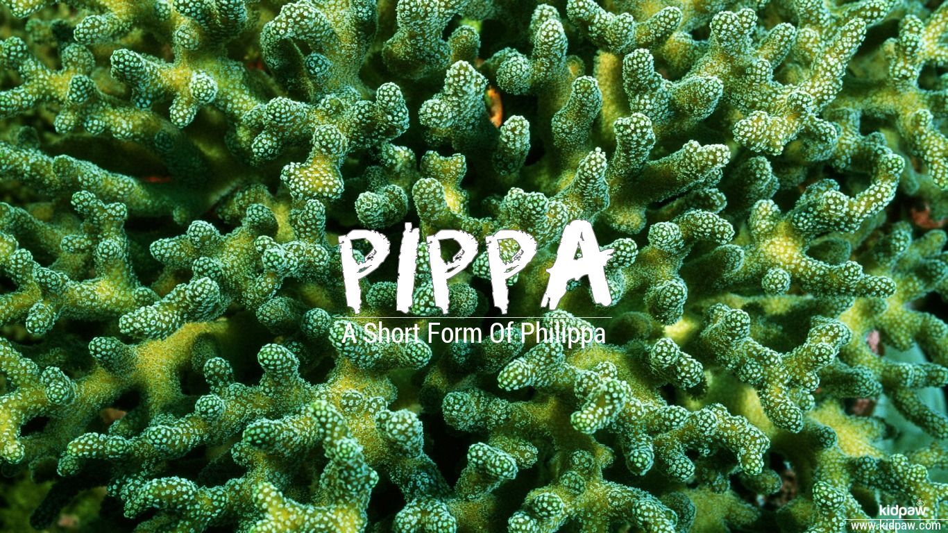 Pippa 3D Name Wallpaper for Mobile, Write Name on Photo Online