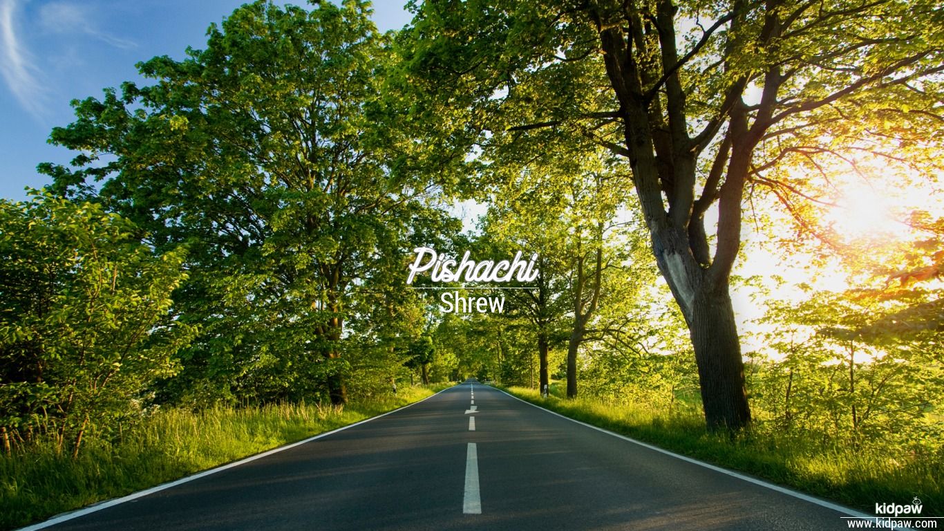 Pishachi 3D Name Wallpaper for Mobile, Write पिशाची Name on Photo Online