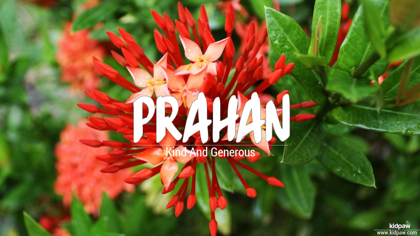 Prahan 3D Name Wallpaper for Mobile, Write प्राहन Name on Photo Online