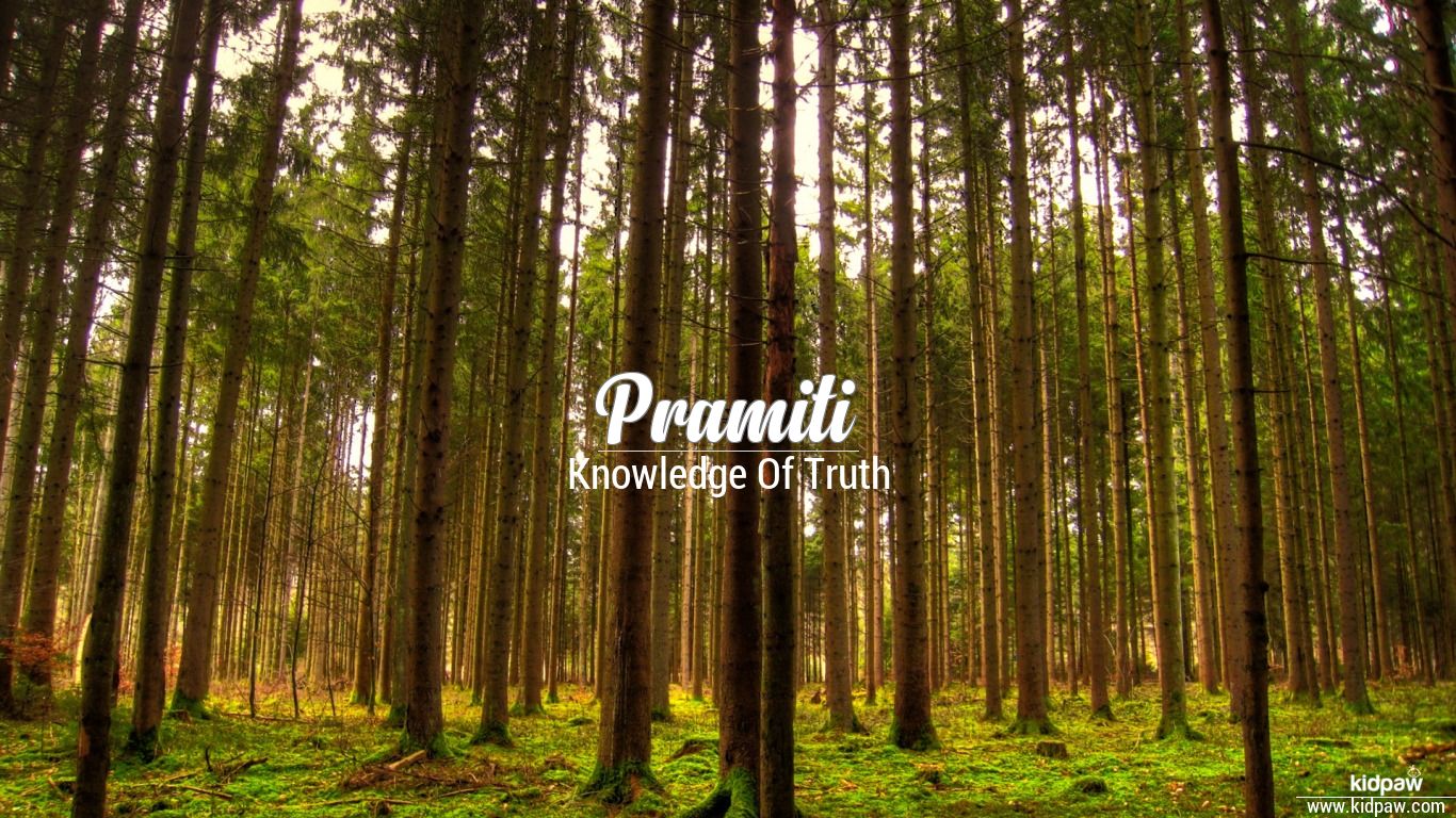 Pramiti 3D Name Wallpaper for Mobile, Write प्रामिति Name on Photo Online