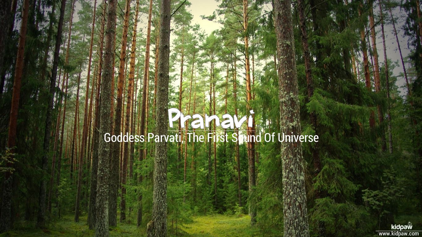 Pranavi 3D Name Wallpaper for Mobile, Write प्रनवी Name on Photo Online