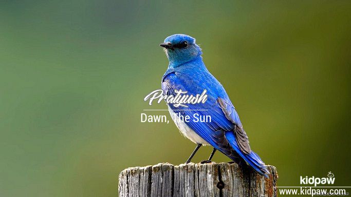 प्रत्यूष | Pratyush Name Meaning in Hindi & English, Rashi, Nakshatra ...