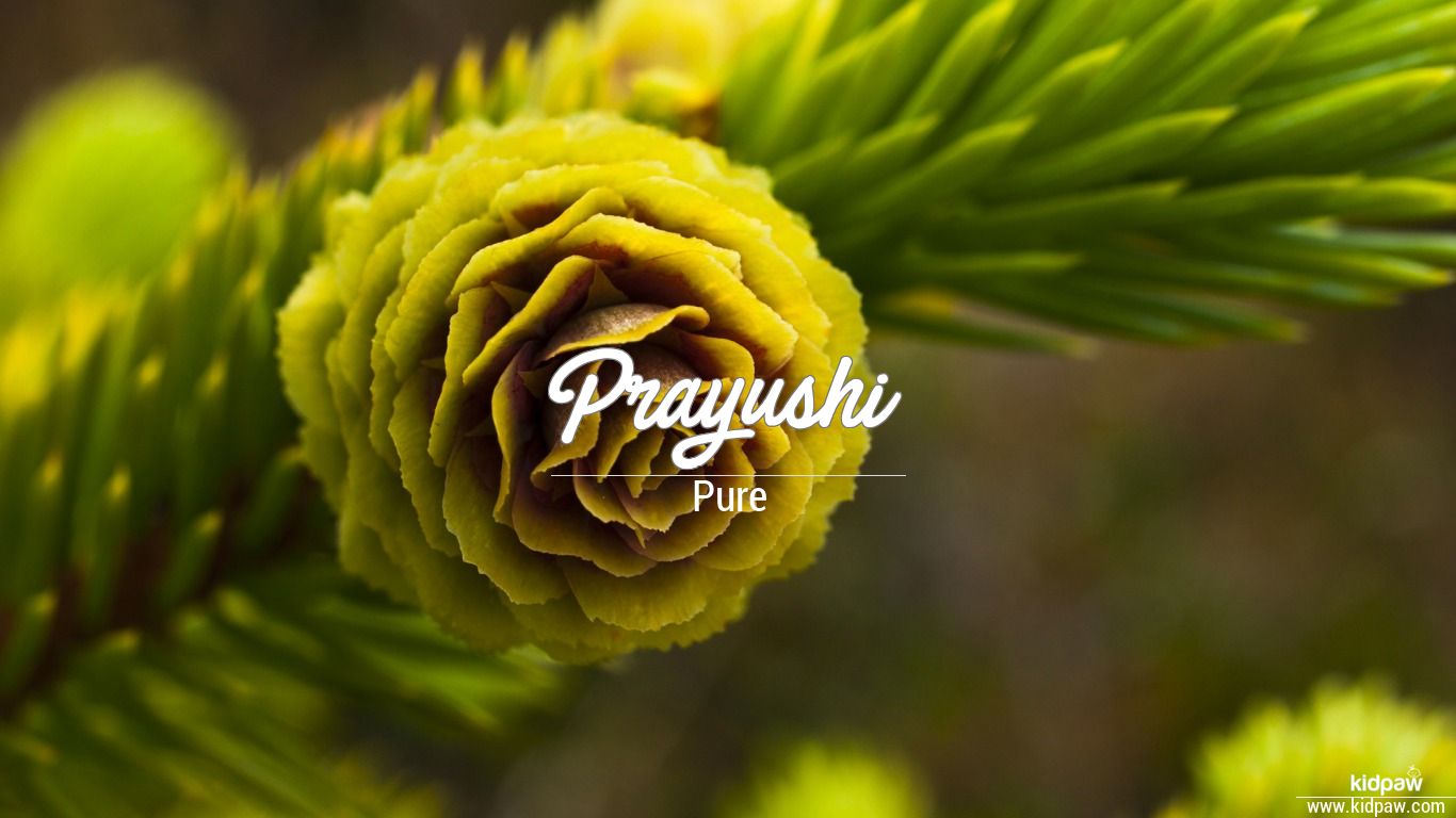 Prayushi 3D Name Wallpaper for Mobile, Write प्रयुशी Name on Photo Online