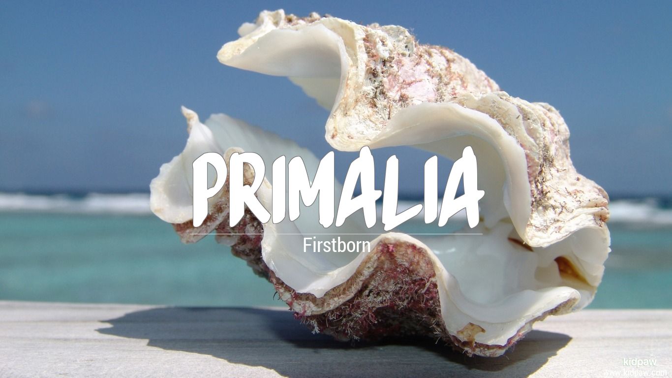 Primalia 3D Name Wallpaper for Mobile, Write Name on Photo Online