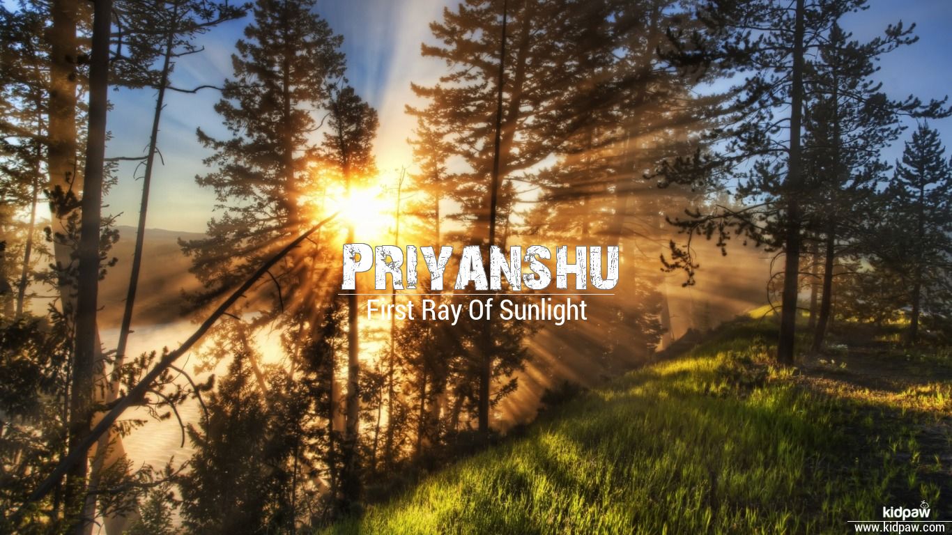 Priyanshu 3D Name Wallpaper for Mobile, Write प्रियांशु Name on Photo ...
