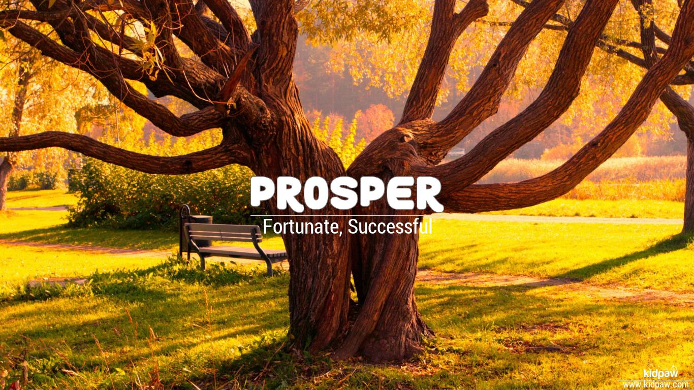Prosper Meanings in English, Popularity, Origin