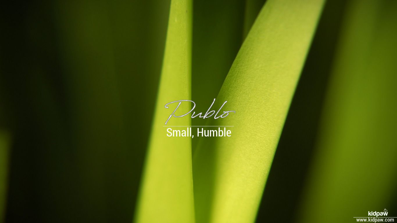 Publo 3D Name Wallpaper for Mobile, Write Name on Photo Online