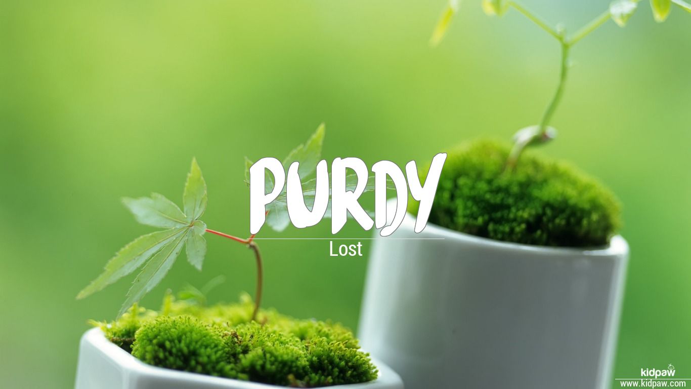 Purdy 3D Name Wallpaper for Mobile, Write Name on Photo Online