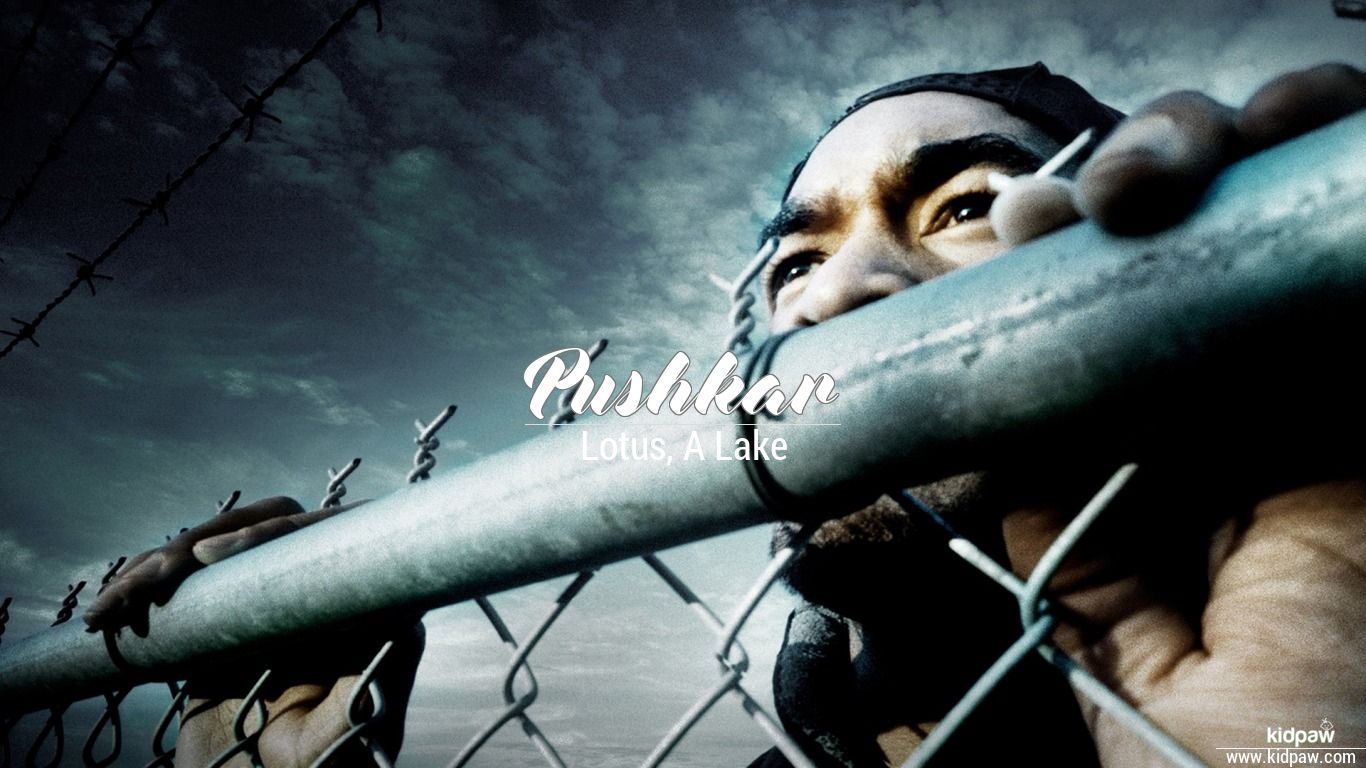 Pushkar 3D Name Wallpaper for Mobile, Write पुष्कर Name on Photo Online