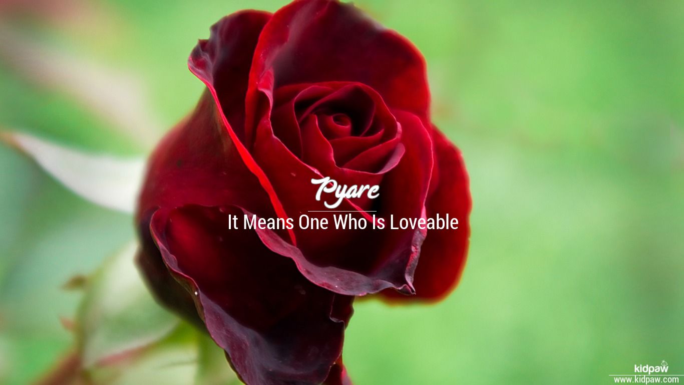 Pyare 3D Name Wallpaper for Mobile, Write प्यारे Name on Photo Online