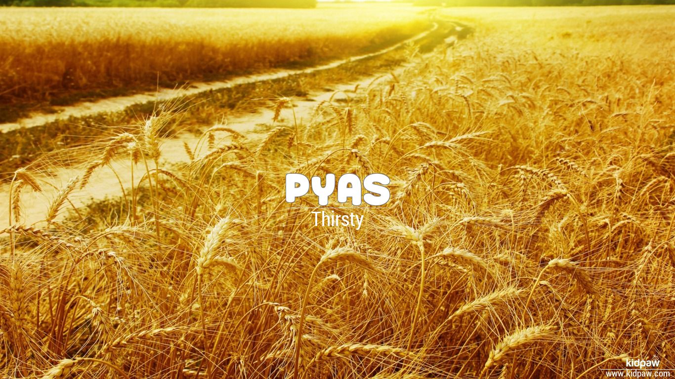 Pyas 3D Name Wallpaper for Mobile, Write प्यास Name on Photo Online