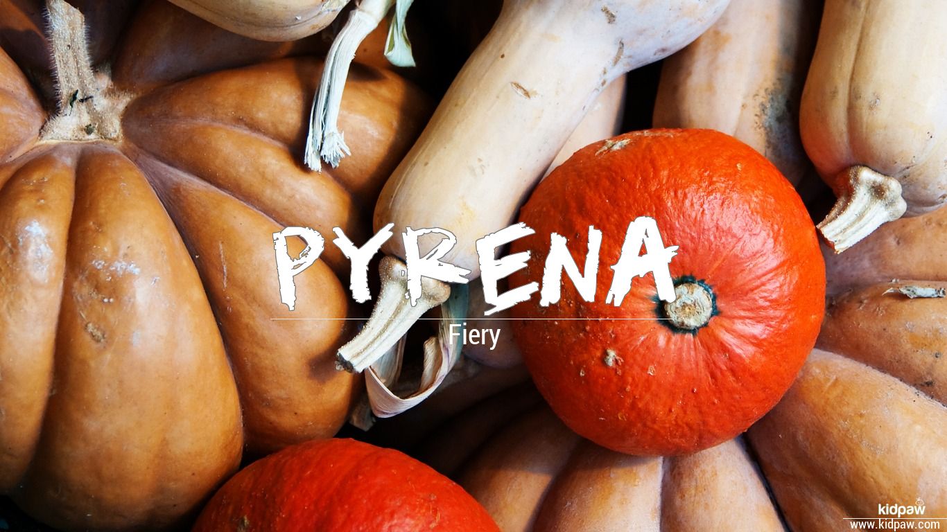 Pyrena 3D Name Wallpaper for Mobile, Write Name on Photo Online