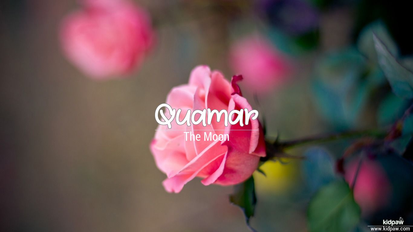Quamar 3D Name Wallpaper for Mobile, Write कमर Name on Photo Online