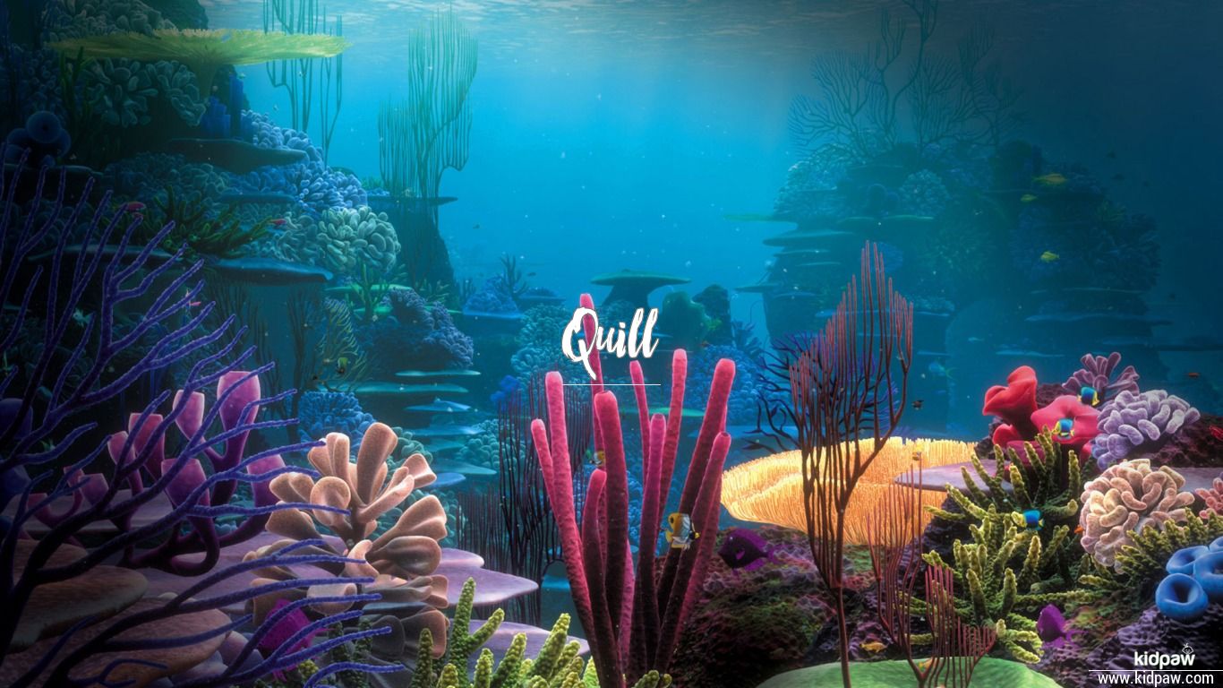 Quill 3D Name Wallpaper for Mobile, Write Name on Photo Online