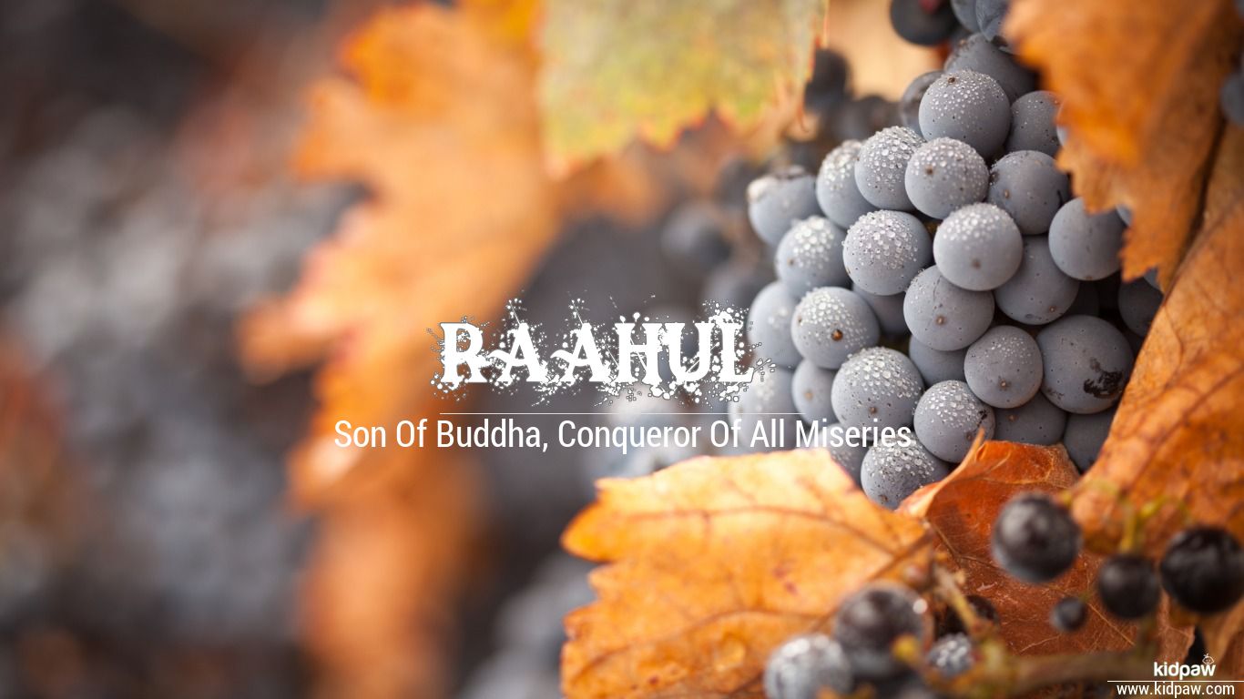 Raahul 3D Name Wallpaper for Mobile, Write राहुल Name on Photo Online