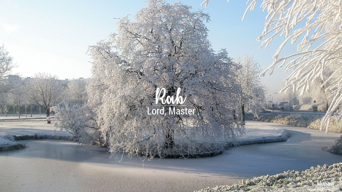 Rab Name Meaning in English & Urdu, Origin, Luck Number