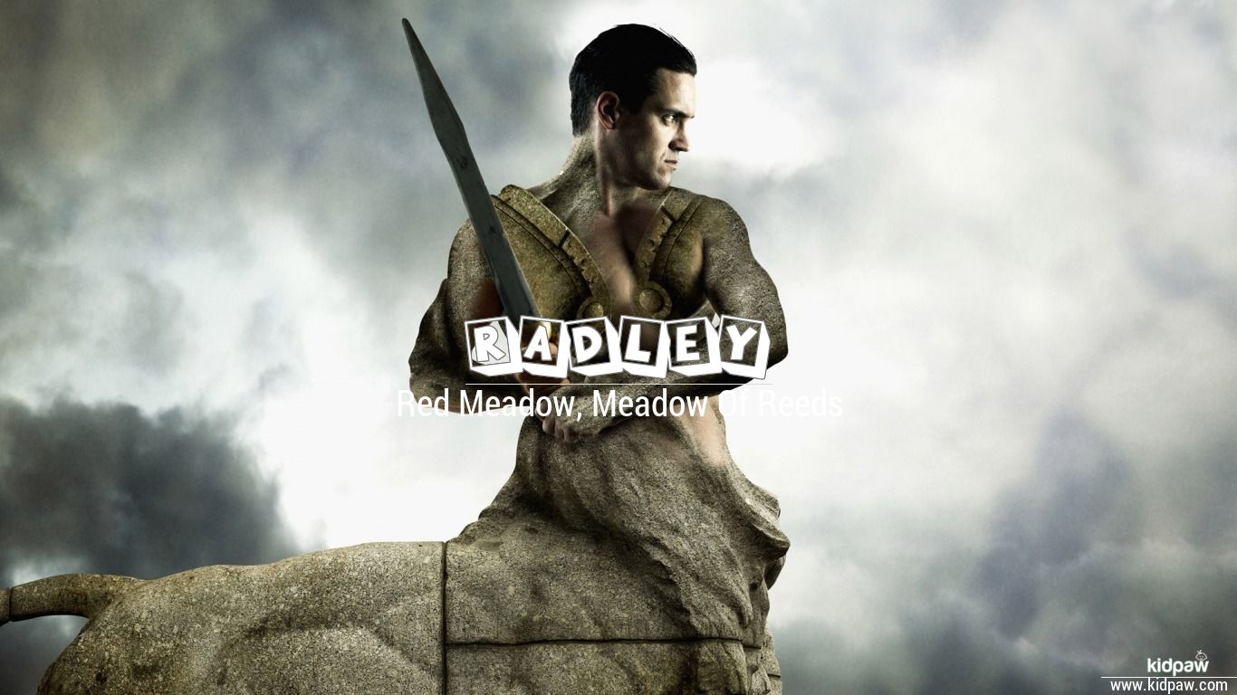 Radley 3D Name Wallpaper for Mobile, Write Name on Photo Online