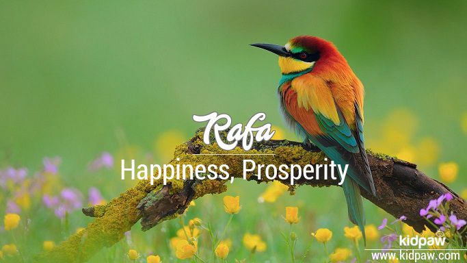 Rafa 3D Name Wallpaper for Mobile, Write رفع Name on Photo Online