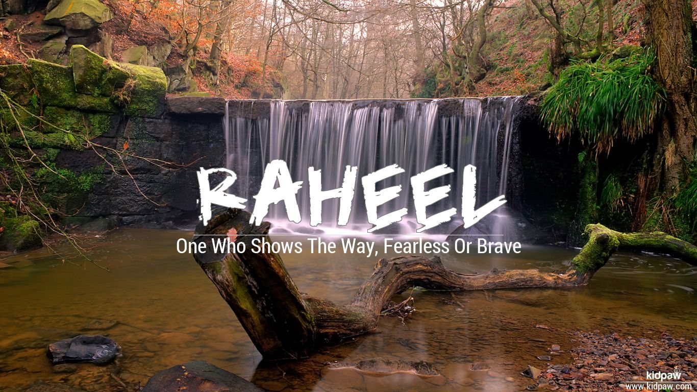 Raheel 3D Name Wallpaper for Mobile, Write راحیل Name on Photo Online