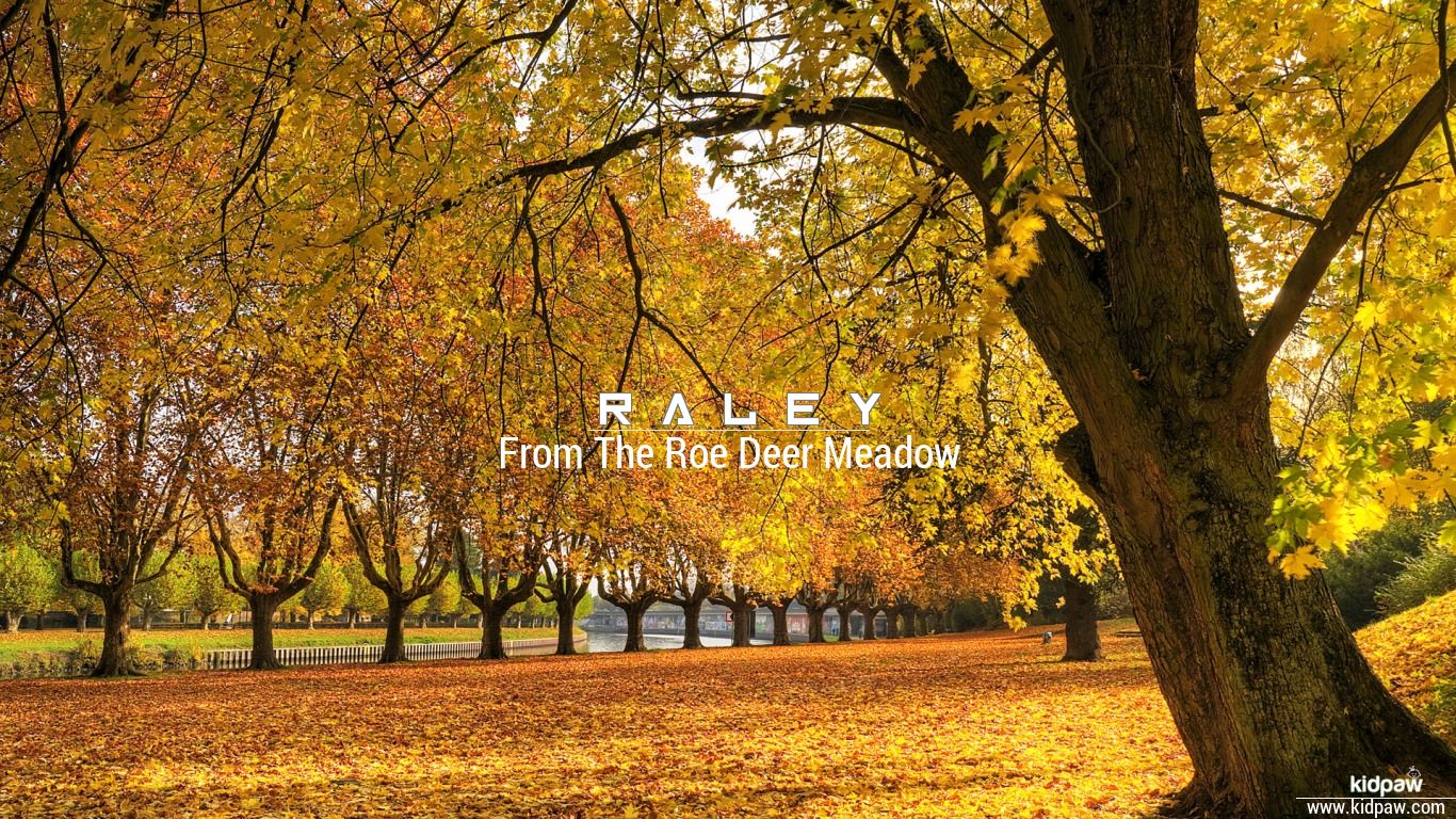 Raley 3D Name Wallpaper for Mobile, Write Name on Photo Online