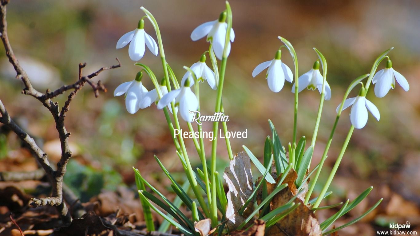 Ramitha 3D Name Wallpaper for Mobile, Write रमिता Name on Photo Online