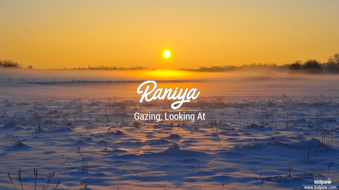 Raniya Name Meaning in English & Urdu, Origin, Luck Number
