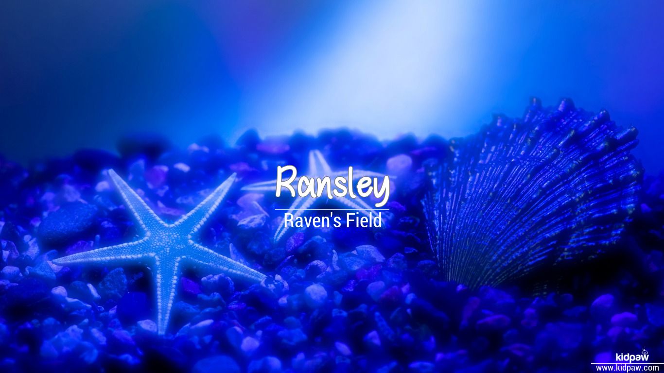 Ransley 3D Name Wallpaper for Mobile, Write Name on Photo Online