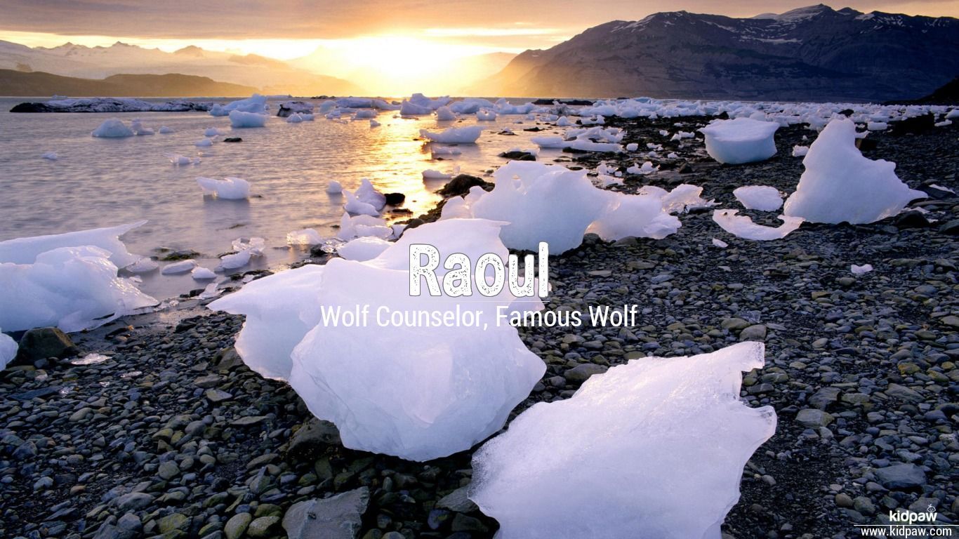 रॉयल | Raoul Name Meaning in Hindi & English, Rashi, Nakshatra, Origin ...