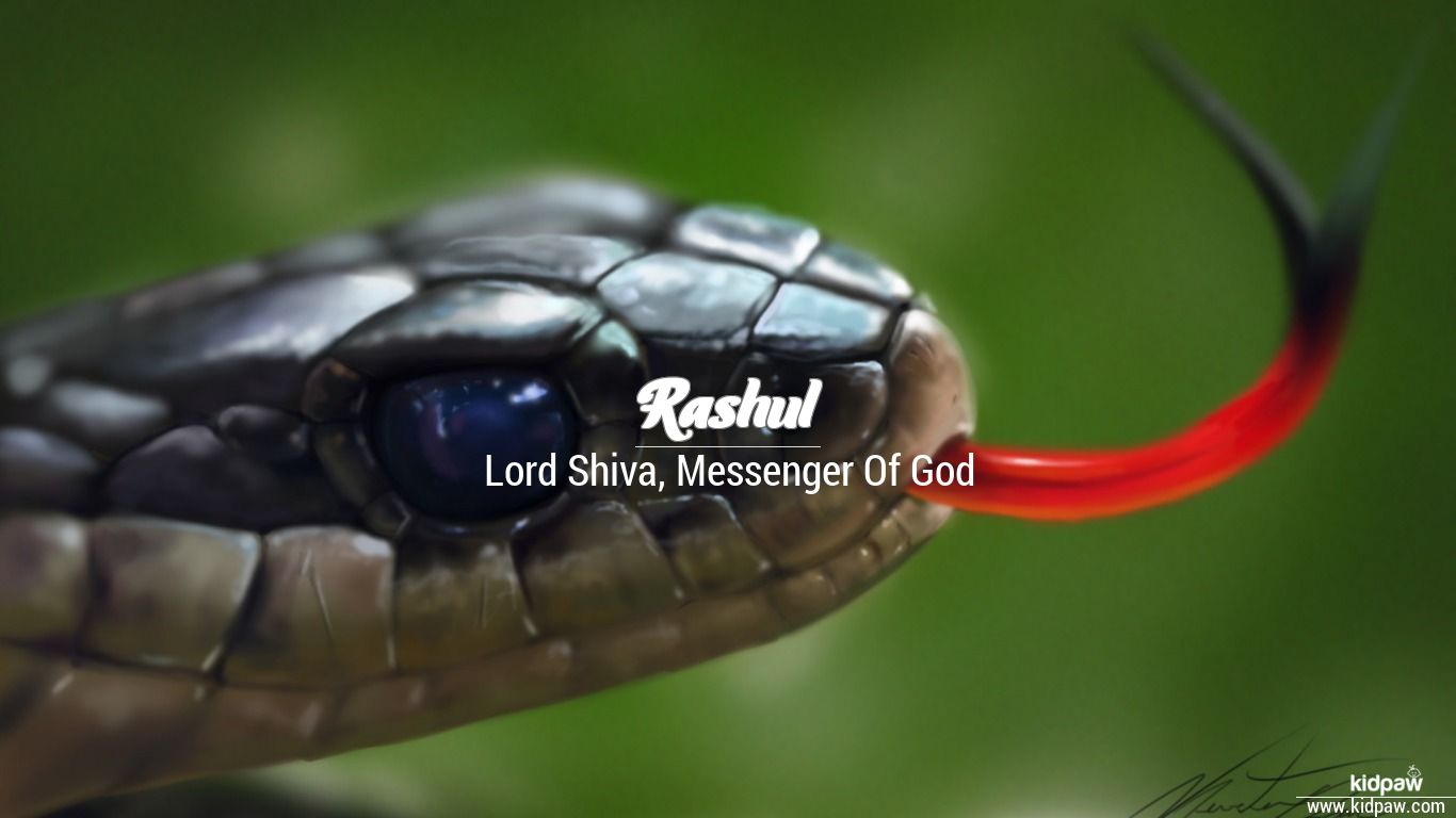 Rashul 3D Name Wallpaper for Mobile, Write रशुल Name on Photo Online